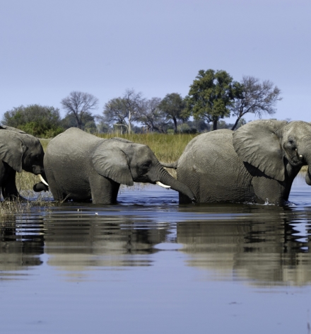 Knighton Reeve | Specialists In Exceptional Travel