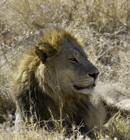 Knighton Reeve | Specialists In Exceptional Travel