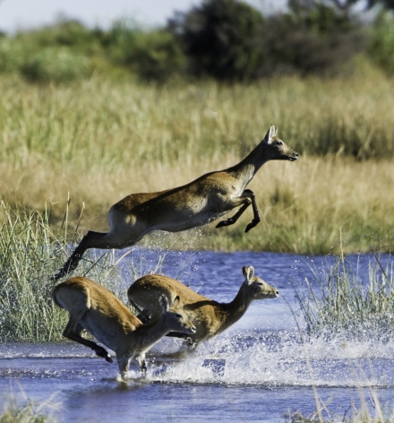 Knighton Reeve | Specialists In Exceptional Travel