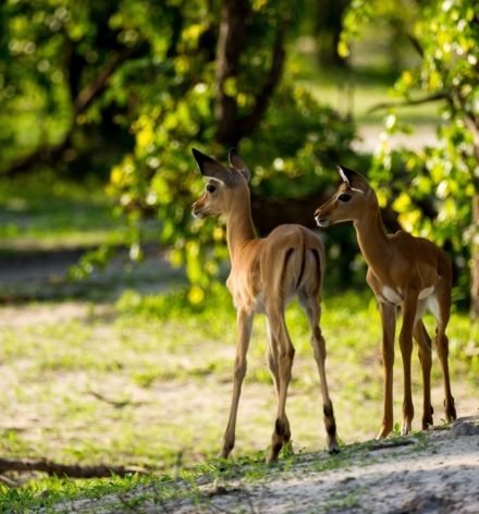 Knighton Reeve | Specialists In Exceptional Travel