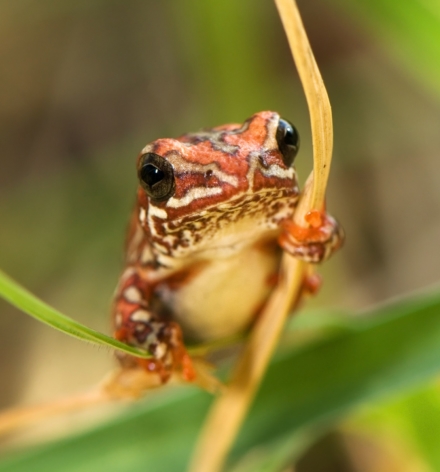 Knighton Reeve | Specialists In Exceptional Travel