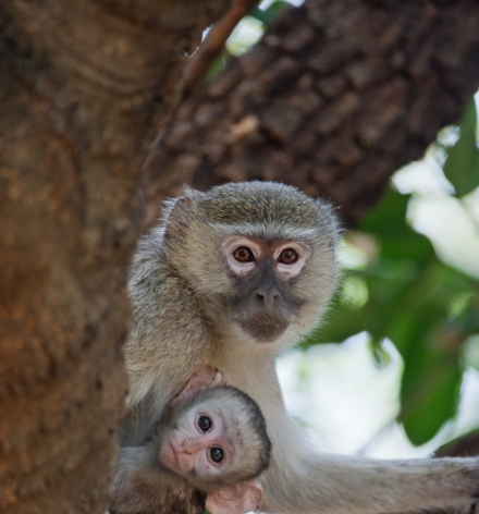 Knighton Reeve | Specialists In Exceptional Travel