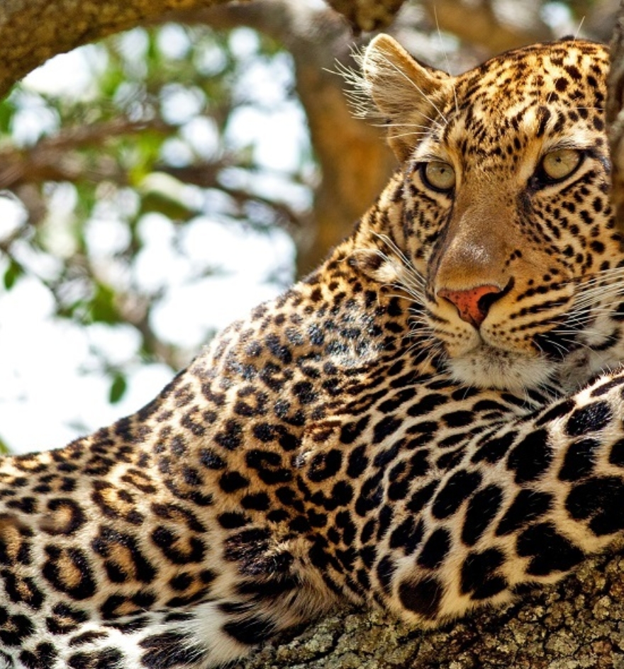 Knighton Reeve | Specialists In Exceptional Travel