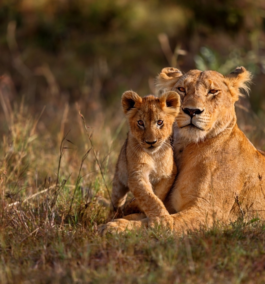 Knighton Reeve | Specialists In Exceptional Travel